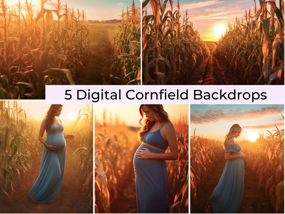 5 Cornfield Digital Backdrops Maternity Backdrops Maternity - Etsy