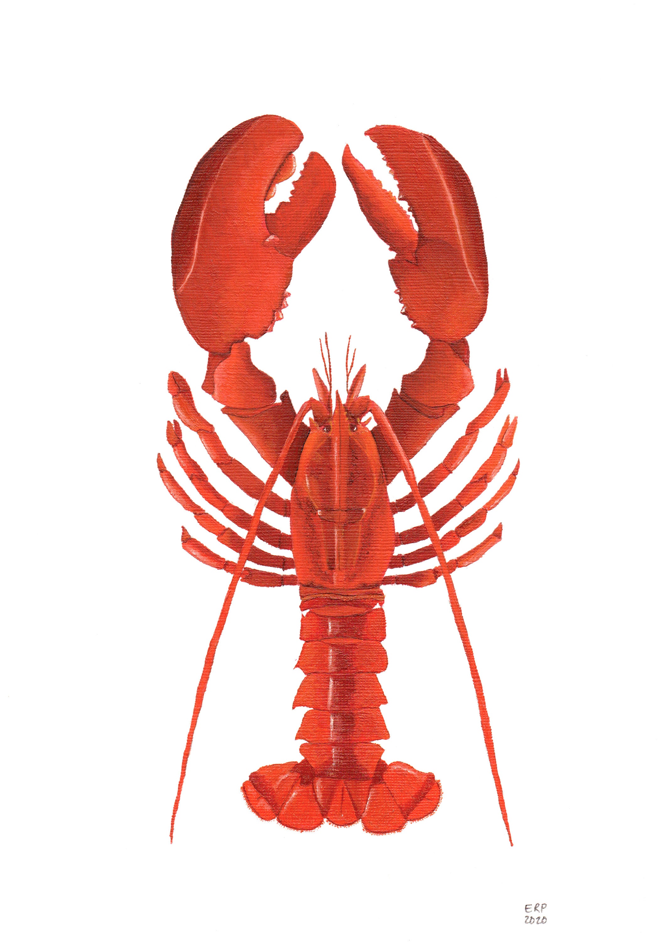 Lobster Oil Paint Print Lobster Painting Sea Creature Print - Etsy