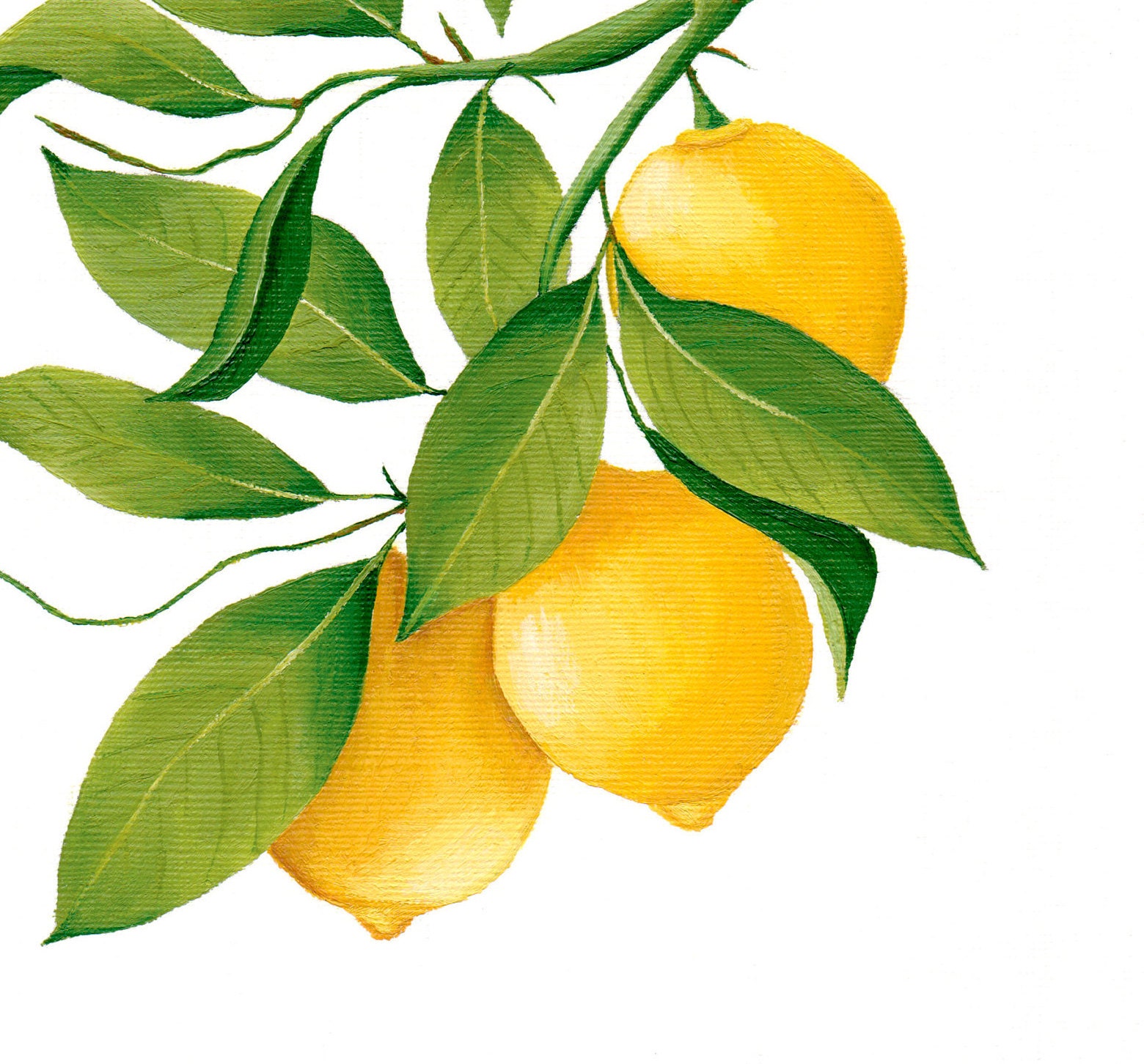 Zitronen Öl Farbe Druck Home Decor Design Zitronen Kunst - Etsy.de