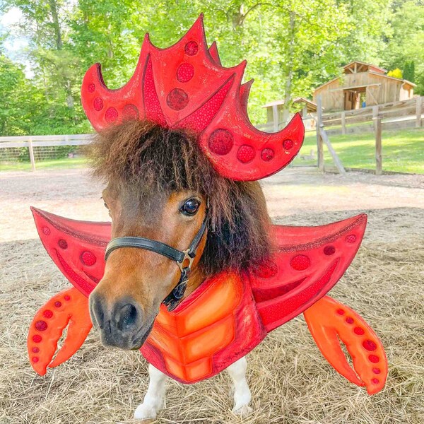Crab Costume - Etsy