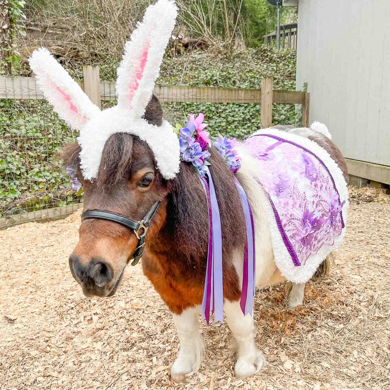 MyMiniandtheMoon - Etsy