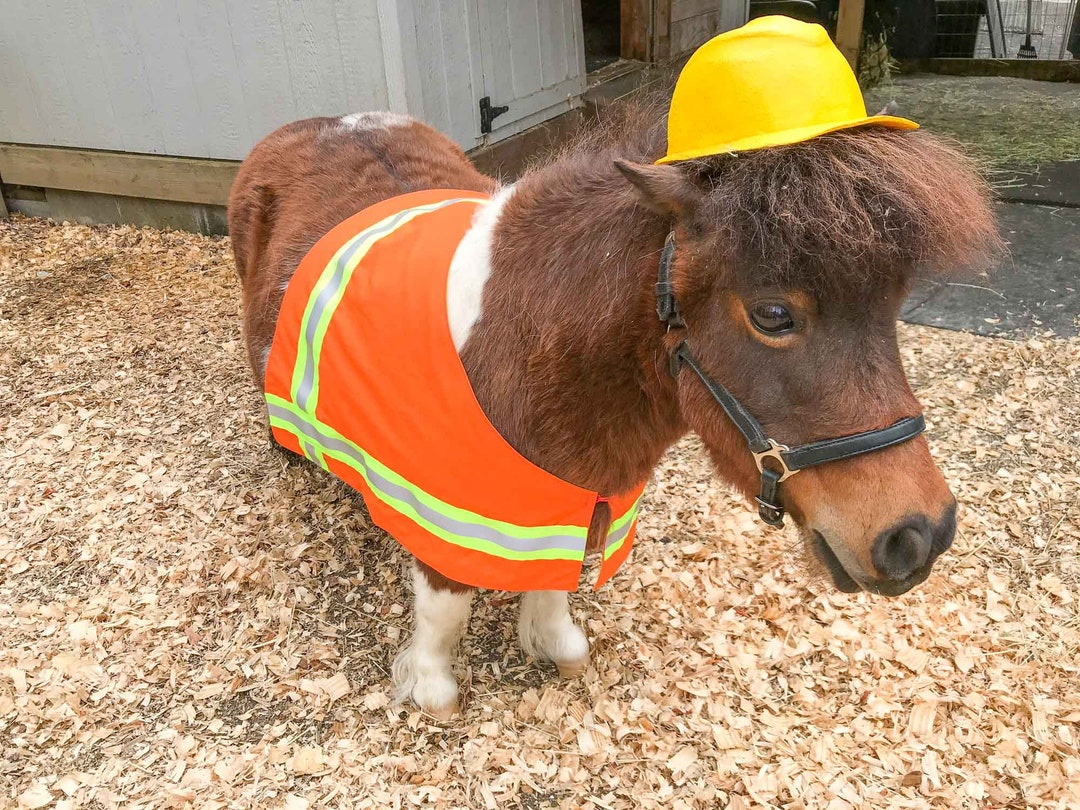 Construction Worker - Costume for Mini Horse With Construction Hat and ...