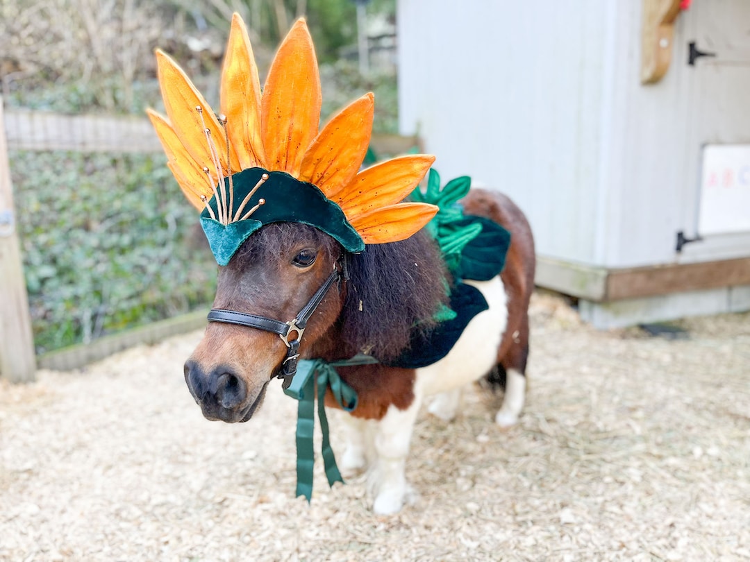 Solaria Flower Fairy Hat for Miniature Horse - Etsy