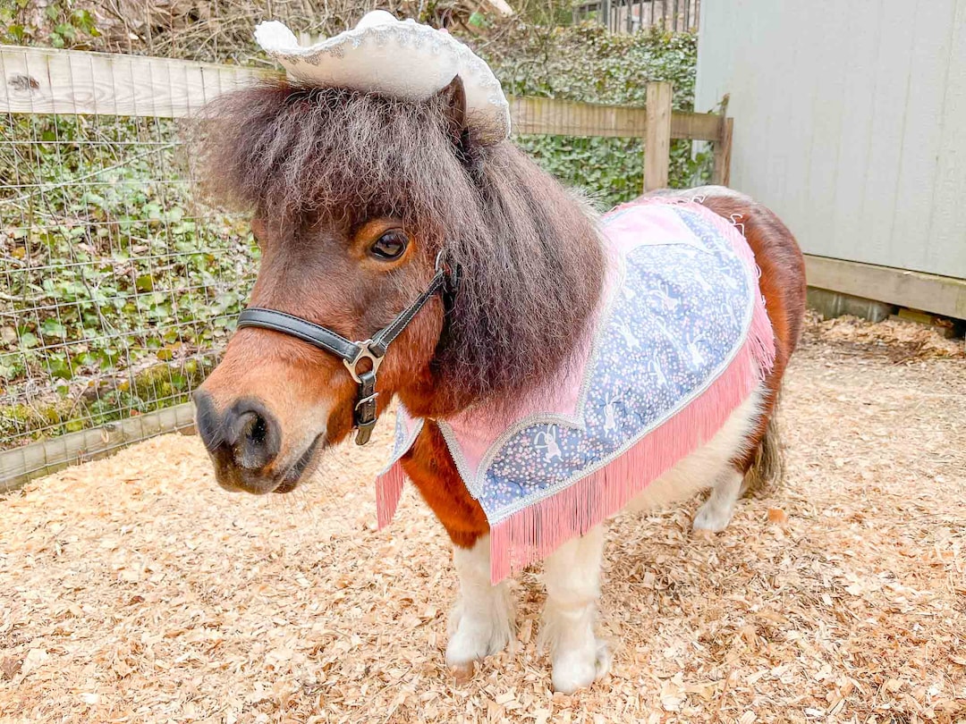Bunnies in Blossom - Fancy Easter Cowboy Set With Hat, Fringed Shawl ...