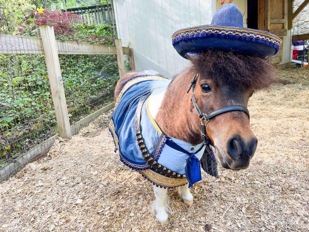 Roughneck Ranchero - Bandito Set With Sombrero, Shirt, Saddle Blanket ...