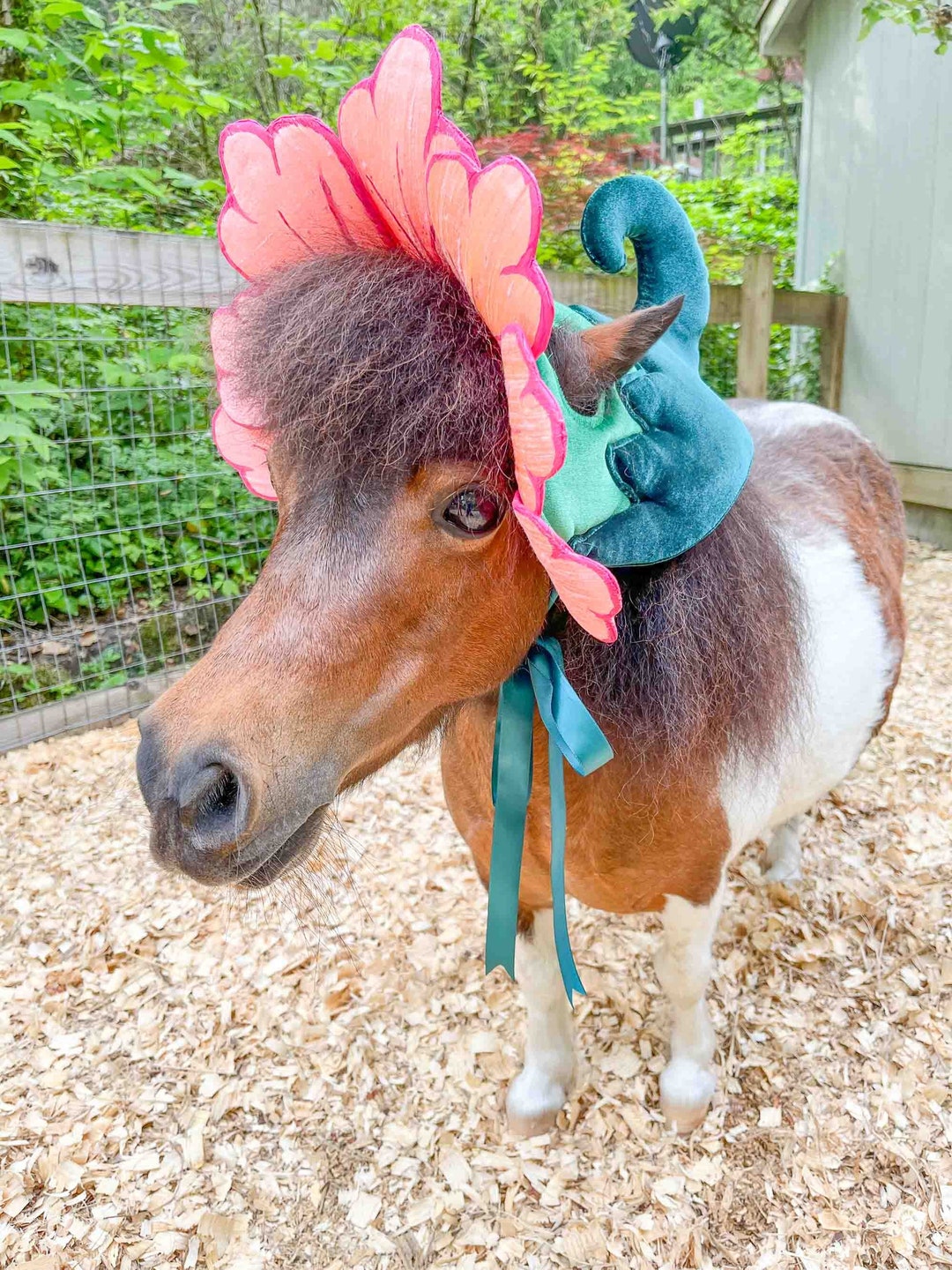 Fuschiania - Flower Fairy Hat for Miniature Horse - Etsy
