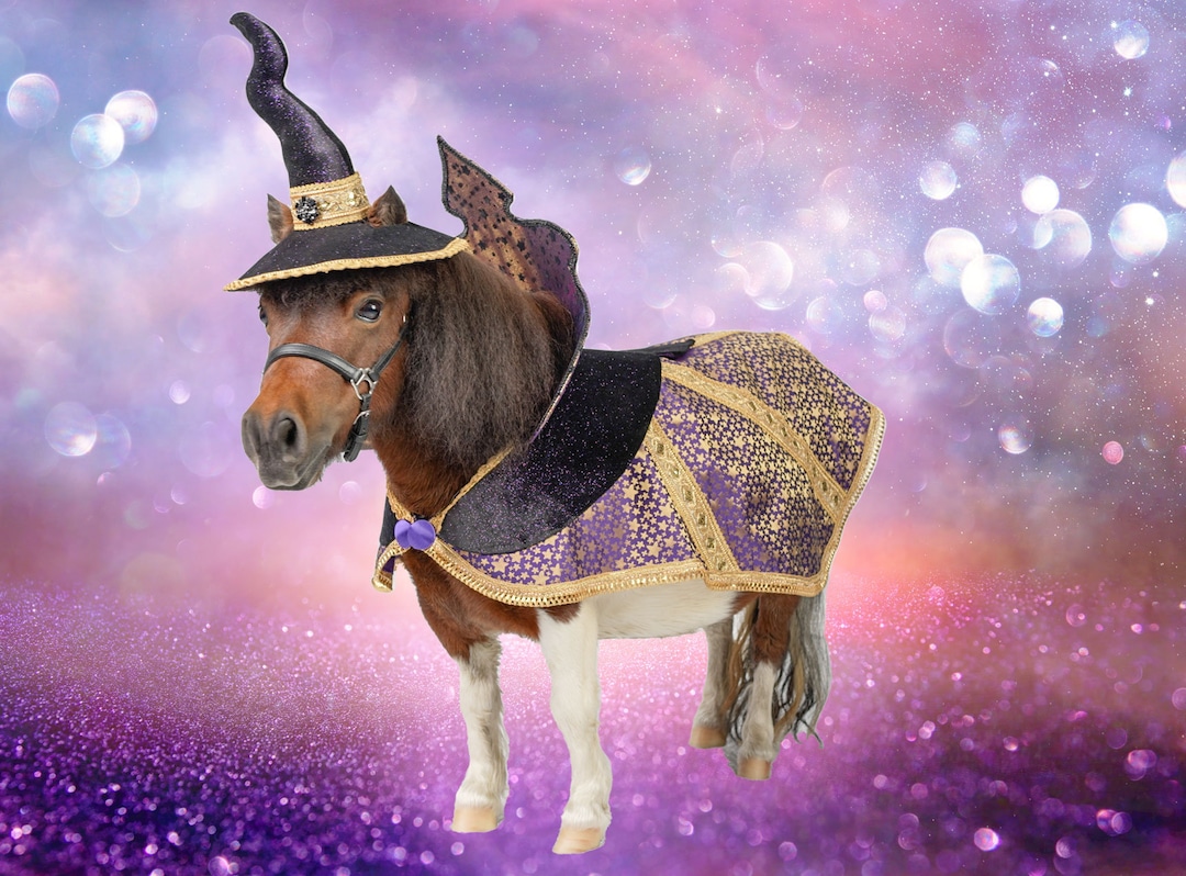 Mini the Majestic Wizard Costume With Hat and Cape for Mini Horse - Etsy