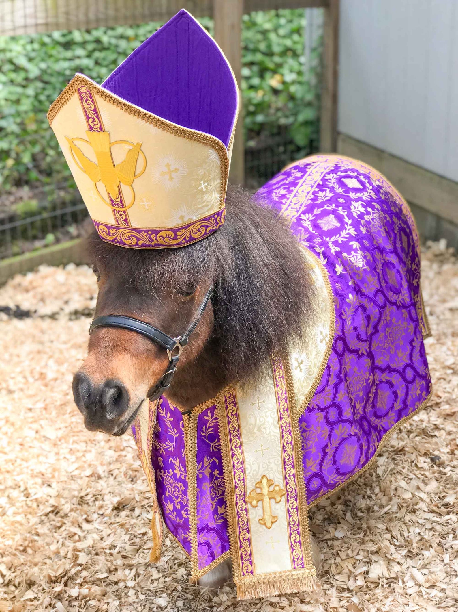Prancing Pope - Religious Costume With Pontiff Hat and Vestment for ...