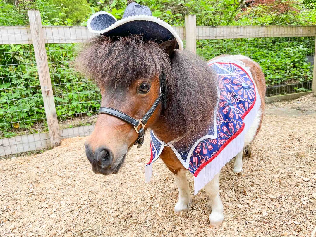 Pretty Little Patriot - Fancy July 4th Cowboy Set With Hat, Fringed ...