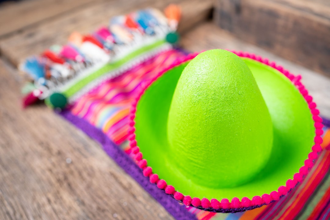 Mini Mariachi - Lime and Hibiscus - Mini Sombrero Hat and Saddle ...