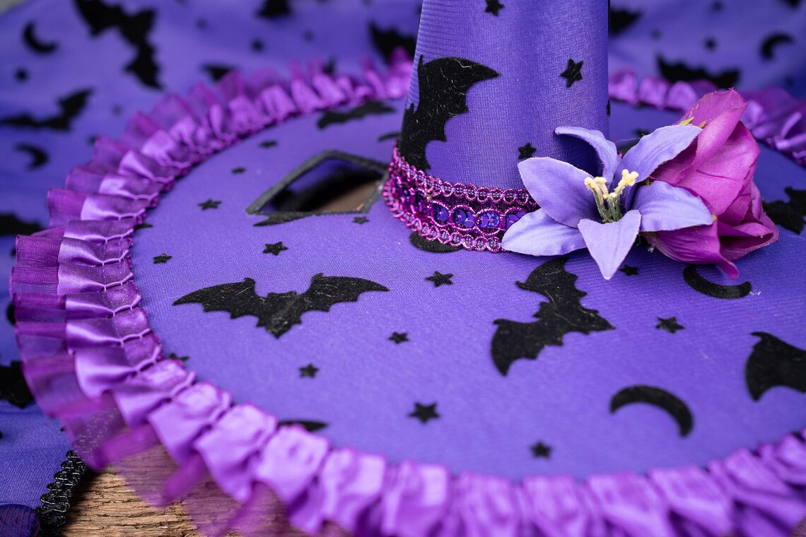 Twilight Magic - Witch Costume With Hat and Cape for Mini Horse - Etsy