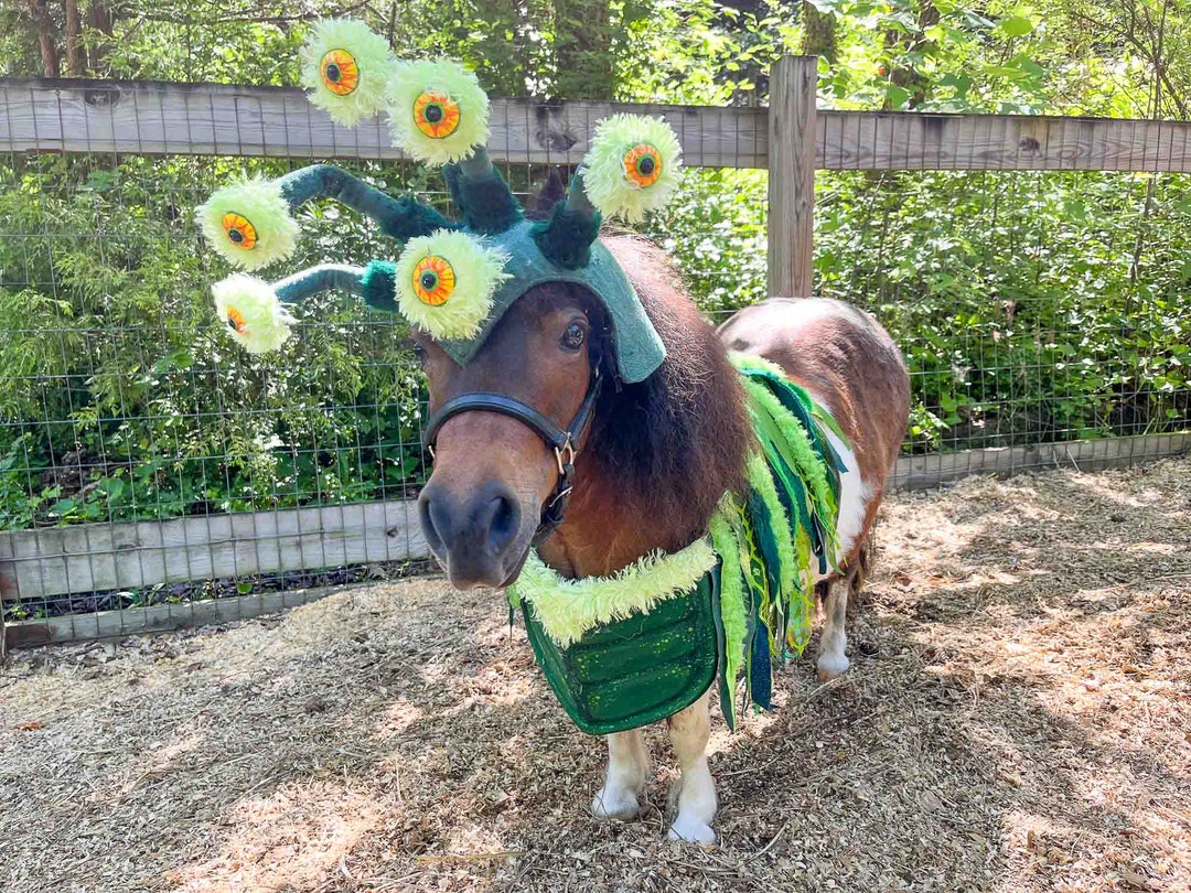 Green Eyed Monster - Halloween Costume for Mini Horse With Multi-eyed ...