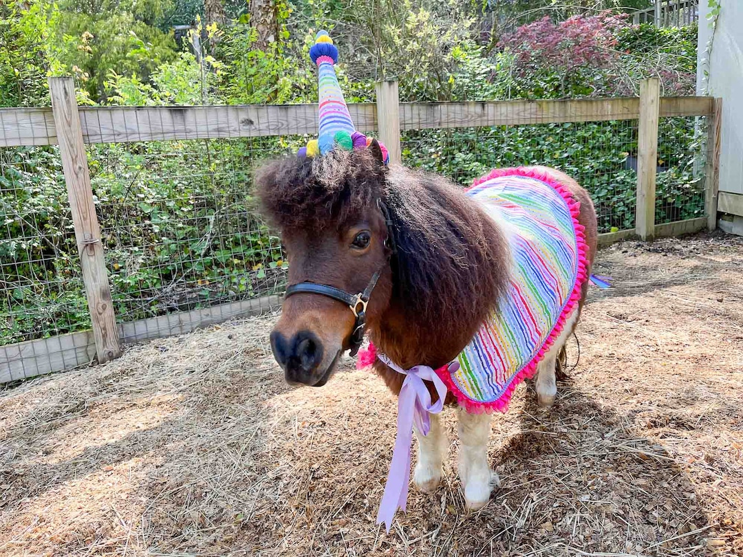 Happy Joy Day - Clown Costume for Mini Horse With Hat and Rainbow ...