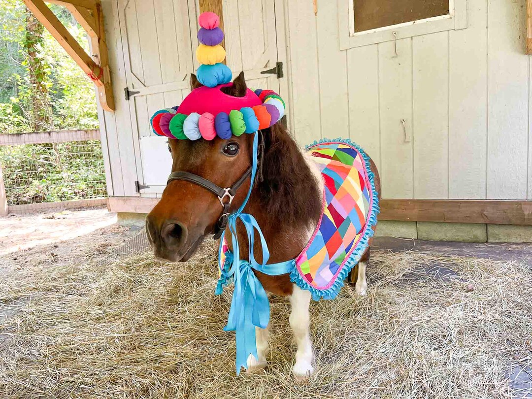 Jolly Time Jester - Clown Costume for Mini Horse With Hat and Rainbow ...