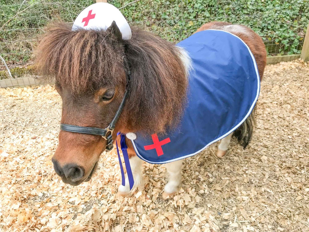 Nurse Neigh Neigh - Costume for Mini Horse With Classic Nurse Hat and ...