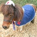 Nurse Neigh Neigh Costume for Mini Horse With Classic Nurse Hat and Red ...