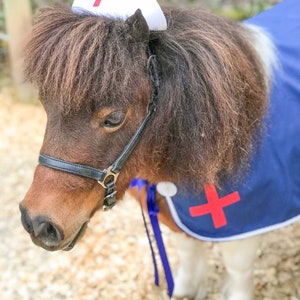 Nurse Neigh Neigh - Costume for Mini Horse With Classic Nurse Hat and ...