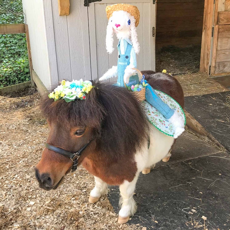 MyMiniandtheMoon - Etsy