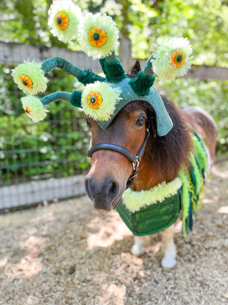 Green Eyed Monster - Halloween Costume for Mini Horse With Multi-eyed ...