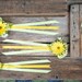 Easter Sunrise Fancy Easter Cowboy Set With Hat, Fringed Shawl and Tail ...