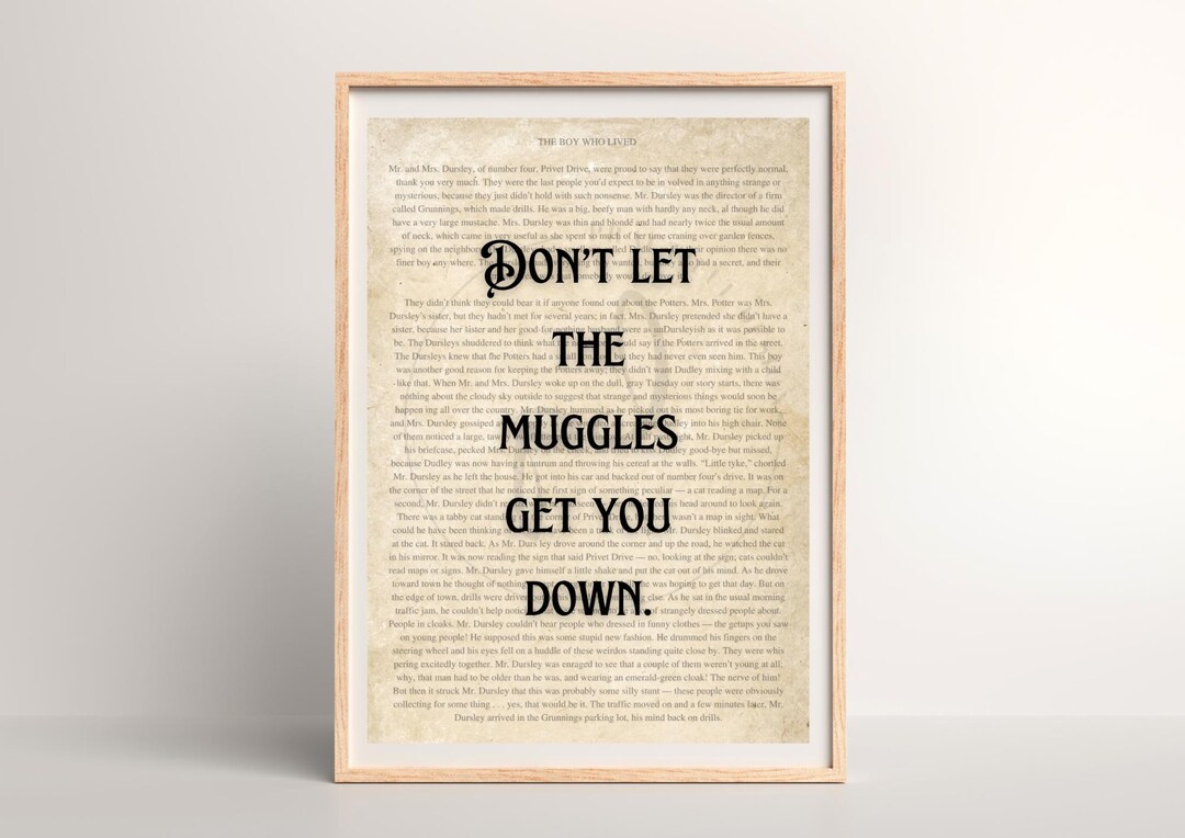 Don't Let the Muggles Get You Down Harry Potter Vintage Poster Ron ...