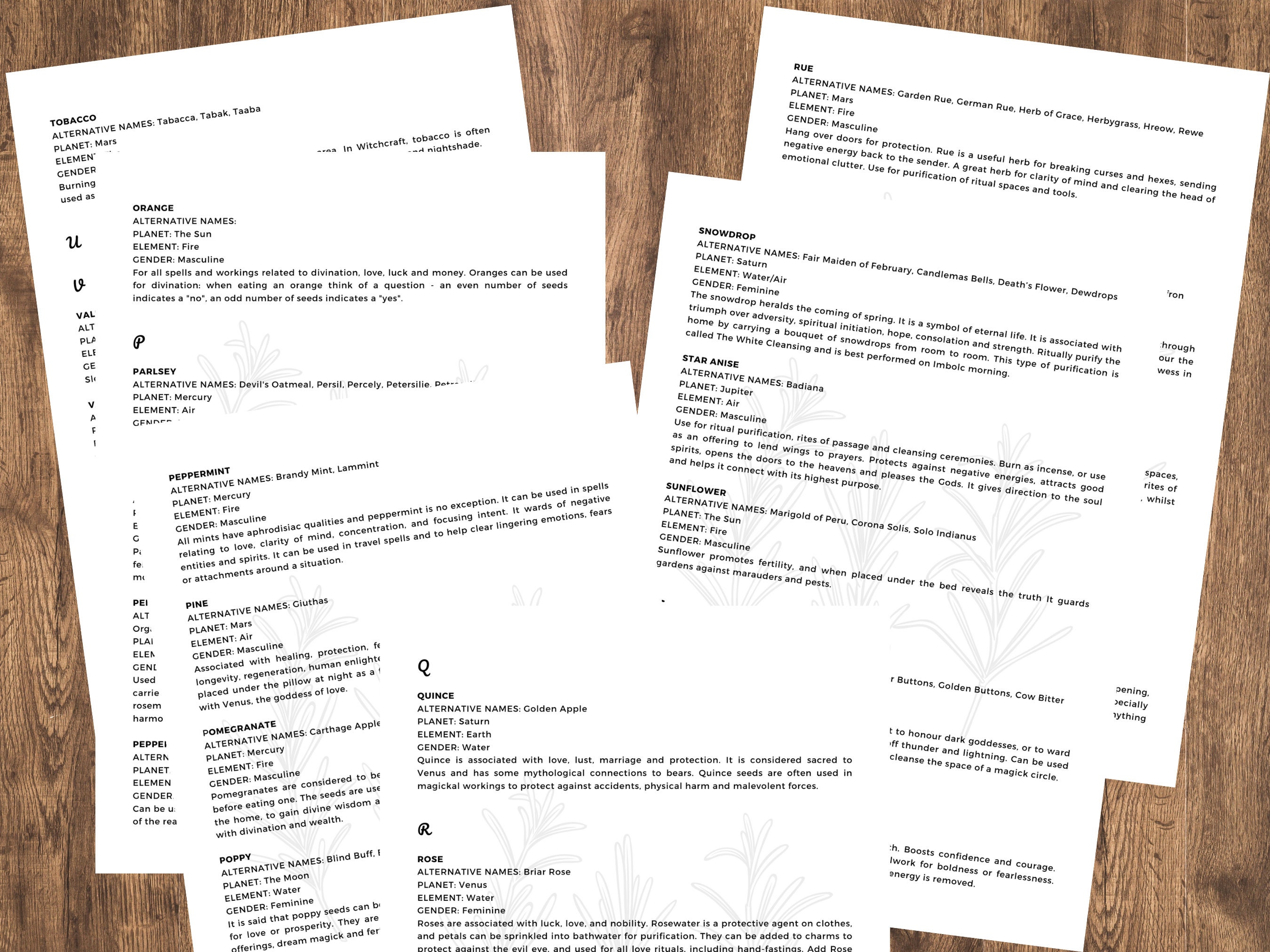 Printable Grimoire Pages Build Your Own Grimoire Book of Shadows the ...