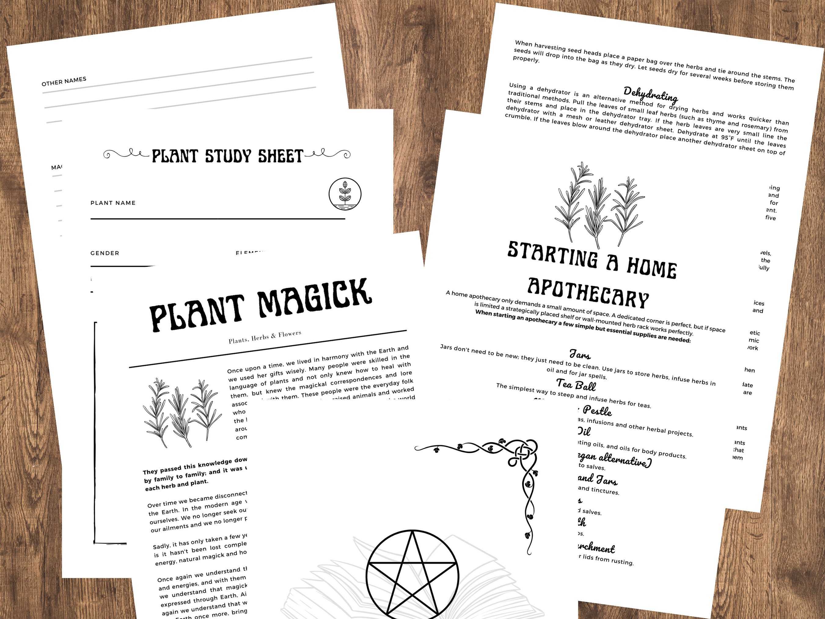Printable Grimoire Pages Build Your Own Grimoire Book of Shadows the Cemetery Witch Learn ...
