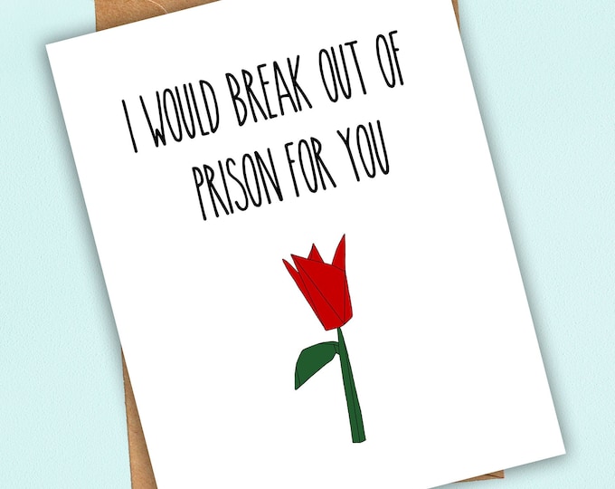 Origami Rose Paper Swan - Unique Prison Break Theme Gift - Etsy