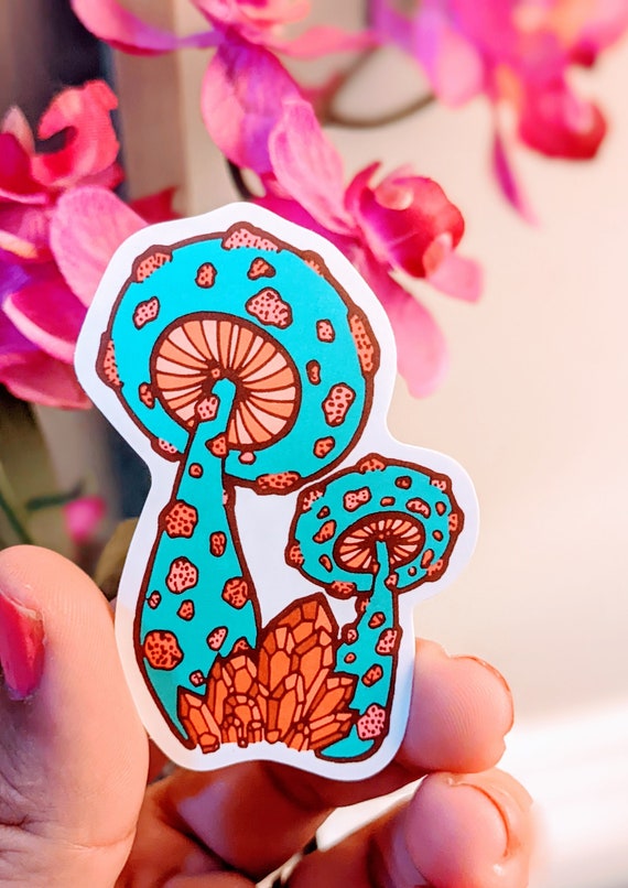 Magic Mushroom Stickers Mushroom Sticker Pack Assorted | Etsy