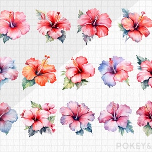 Watercolor Hibiscus Clipart Bundle - Hibiscus Png Bundle Tropical ...