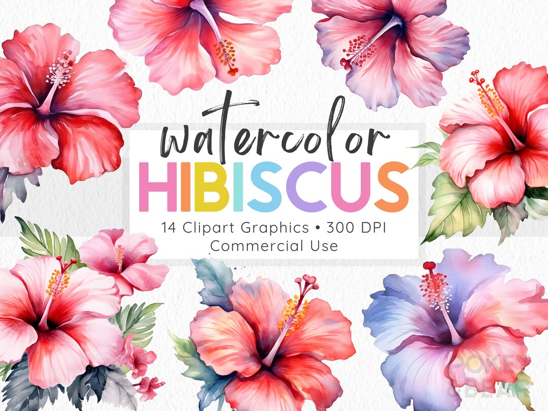 Watercolor Hibiscus Clipart Bundle - Hibiscus Png Bundle Tropical ...