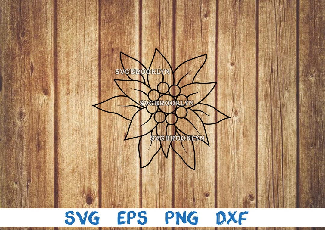 Edelweiss Flower, Edelweiss, Flower, Outline, Svg, Png, Eps, Dxf ...
