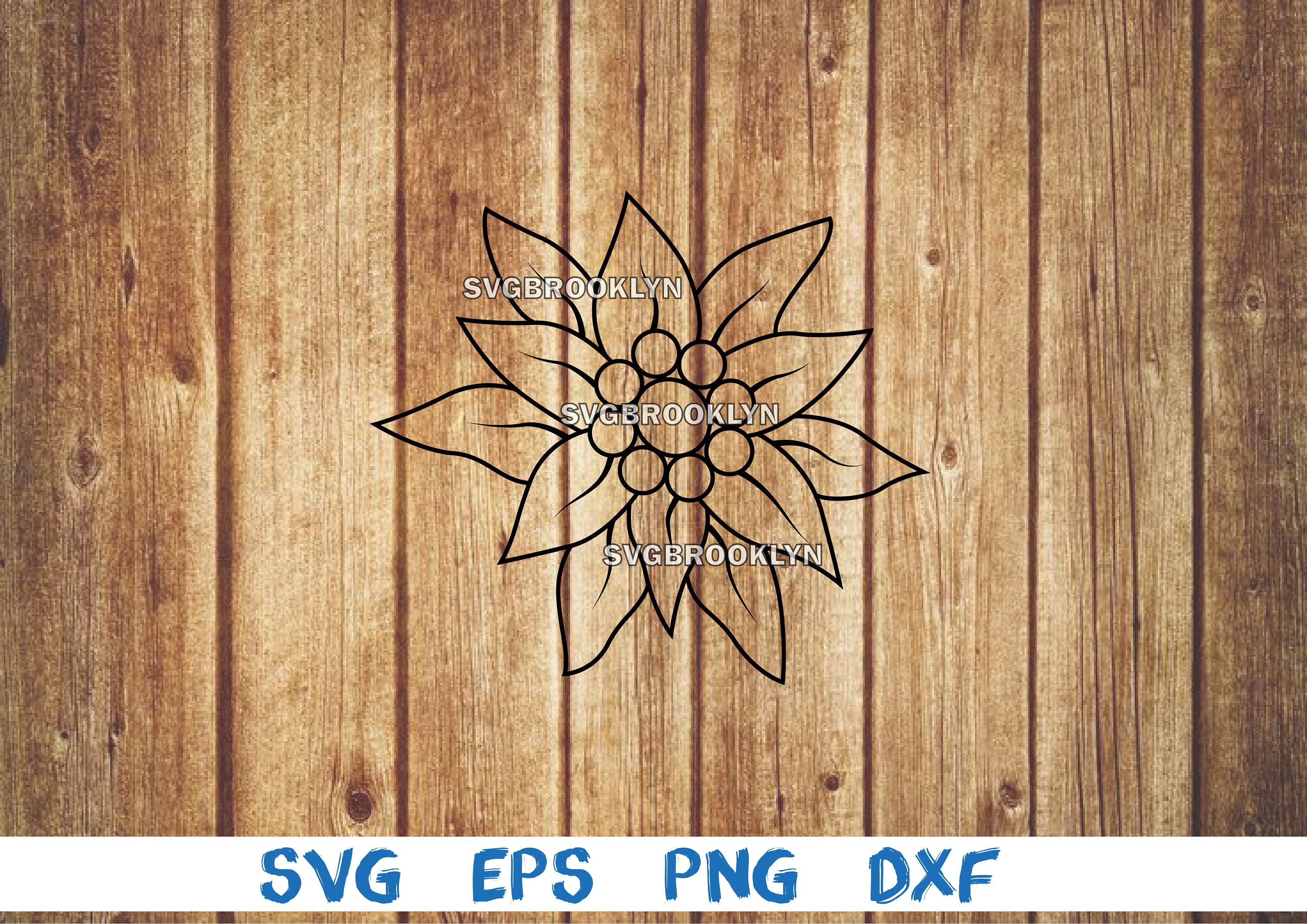 Edelweiss Flower, Edelweiss, Flower, Outline, Svg, Png, Eps, Dxf ...