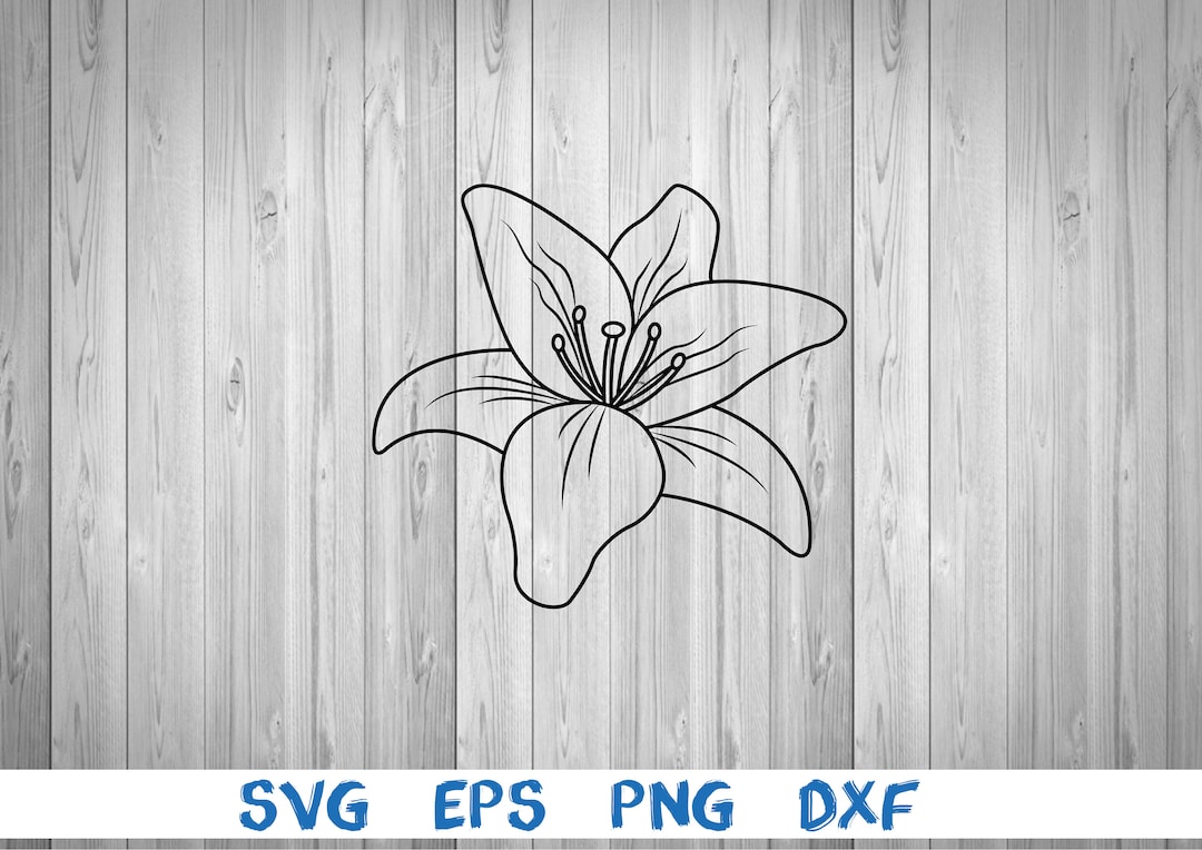 Lily, Outline, Lily Flower, Flower, Picture, Svg, Png, Eps, Dxf ...