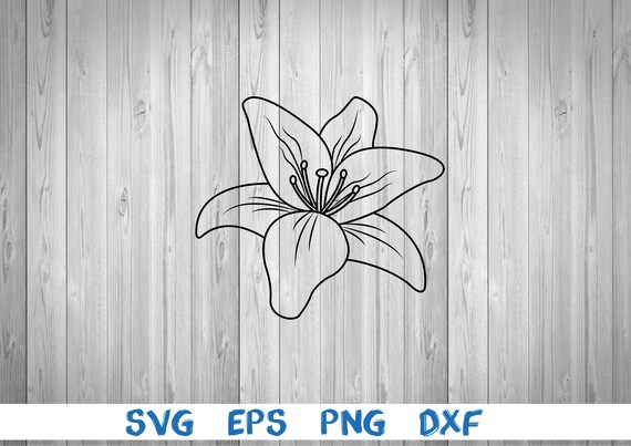 Lily Outline Lily Flower Flower Picture Svg Png Eps | Etsy