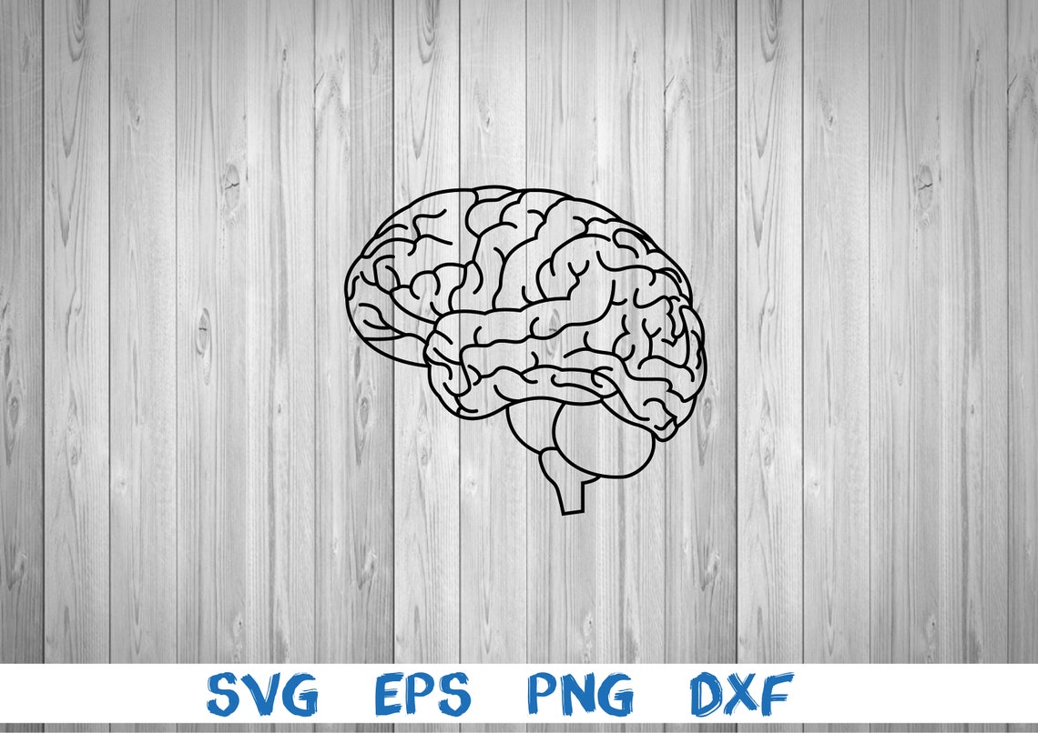 Brain, Human Brain, Outline, Svg, Png, Eps, Dxf, Digital File - Etsy