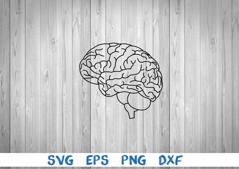 Brain, Human Brain, Outline, Svg, Png, Eps, Dxf, Digital File - Etsy