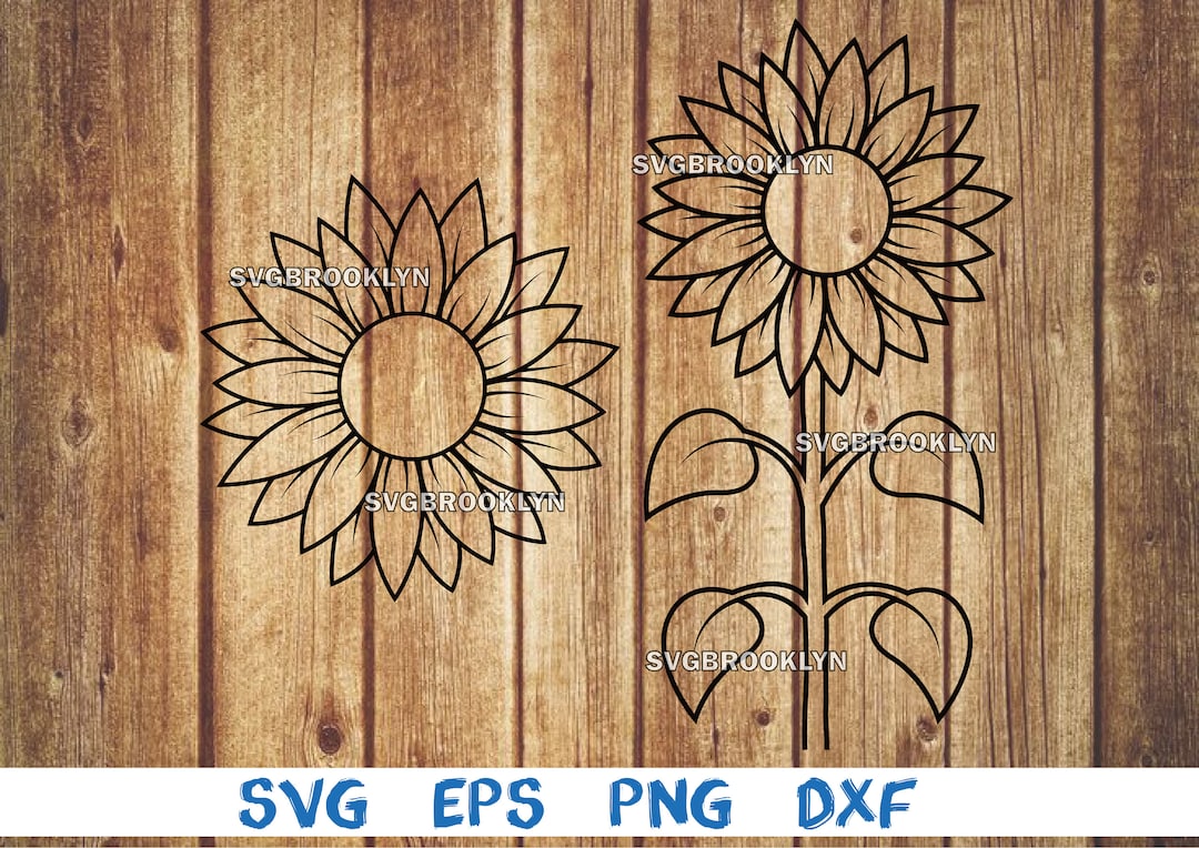 Sunflower, Sunflower With Stem, Sunflower With Leaves, Outline, Svg ...