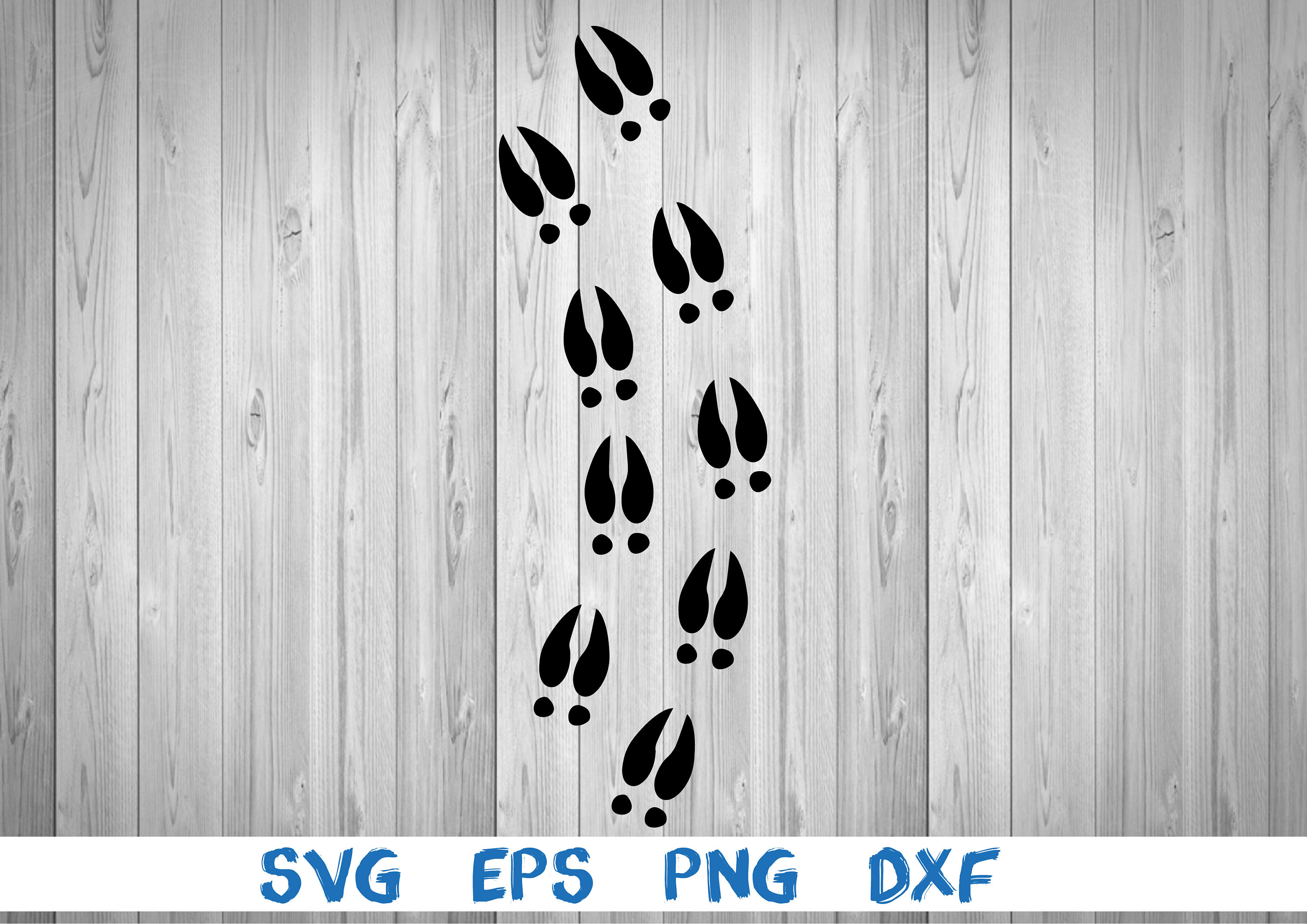 Whitetail Deer Hoof Print