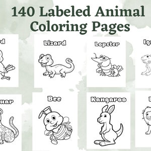 140 Labeled Animal Coloring Pages for Kids, Printable Coloring Pages ...