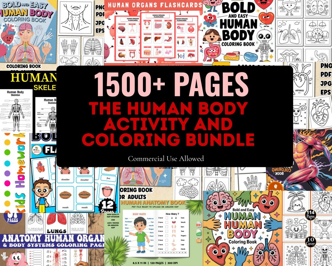 Human Body Coloring & Activity Bundle for Kids | Homeschool and ...