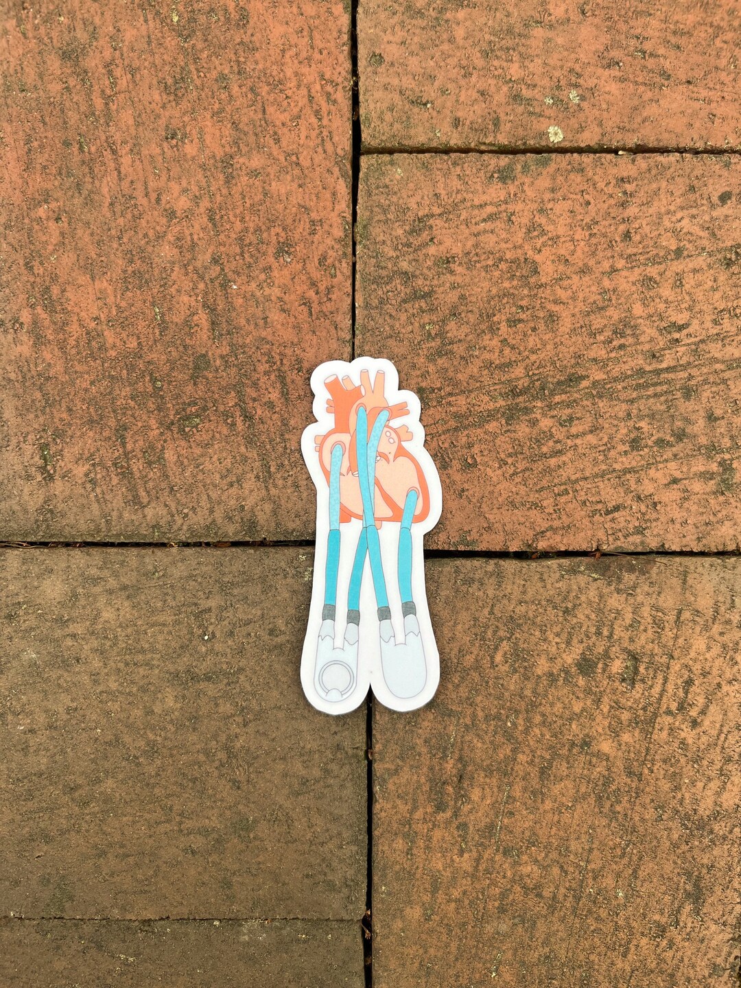 Berlin Heart Sticker/ Anatomical Heart Sticker/ Vinyl/ Weatherproof - Etsy