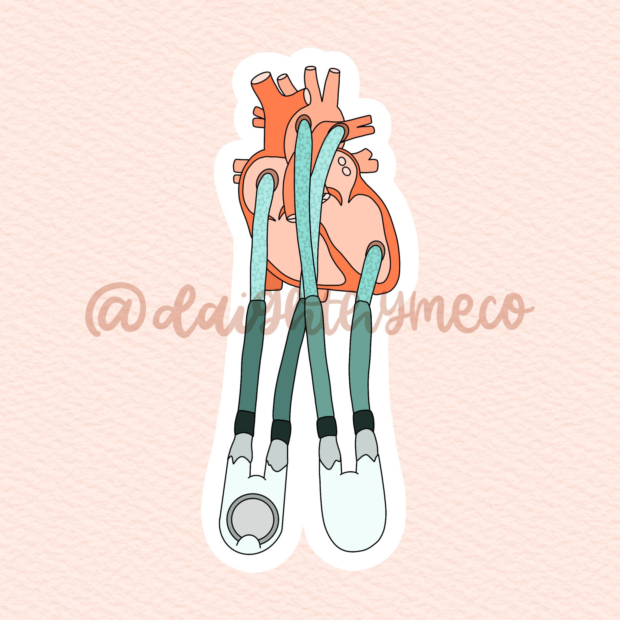 Berlin Heart Sticker/ Anatomical Heart Sticker/ Vinyl/ - Etsy