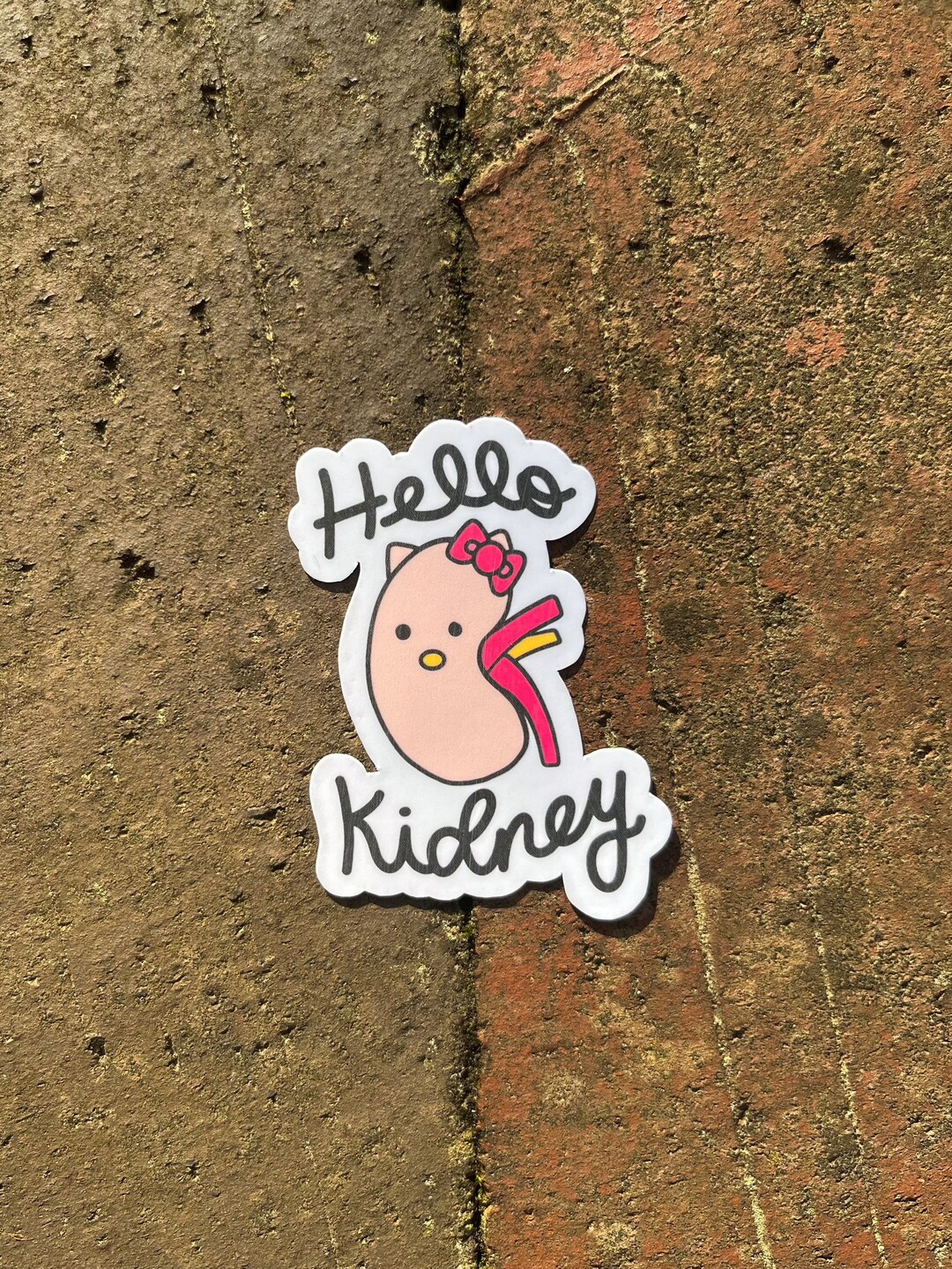 Hello Kidney Sticker/ CKD/ ESRD/ Vinyl/ Weatherproof - Etsy