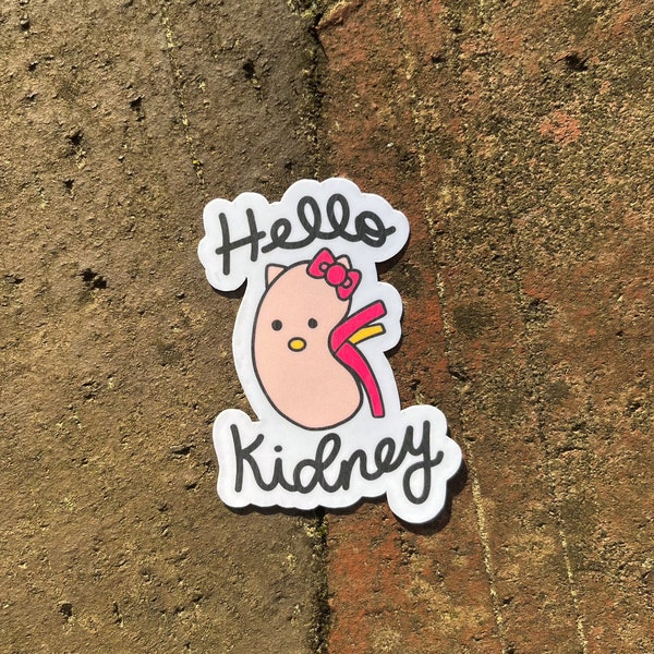 Kidney Stickers - Etsy