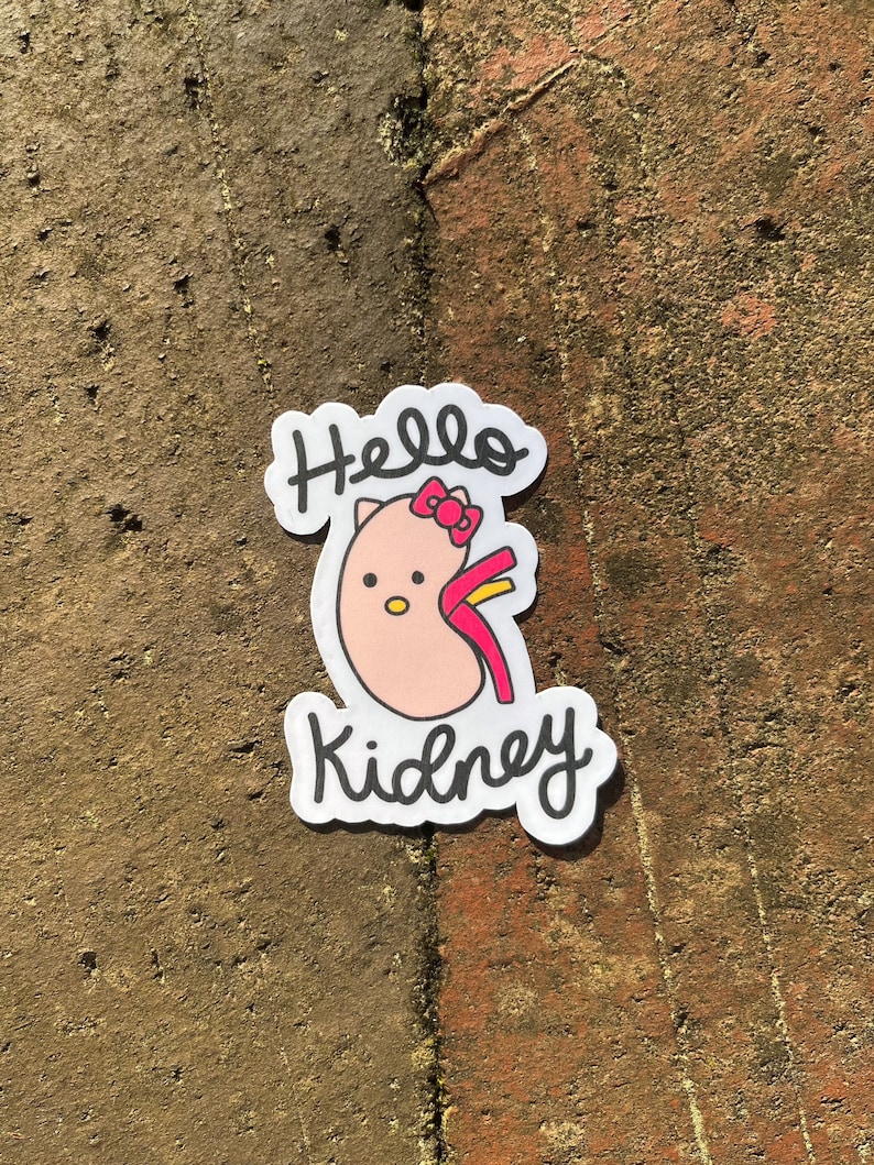 Hello Kidney Sticker/ CKD/ ESRD/ Vinyl/ Weatherproof - Etsy