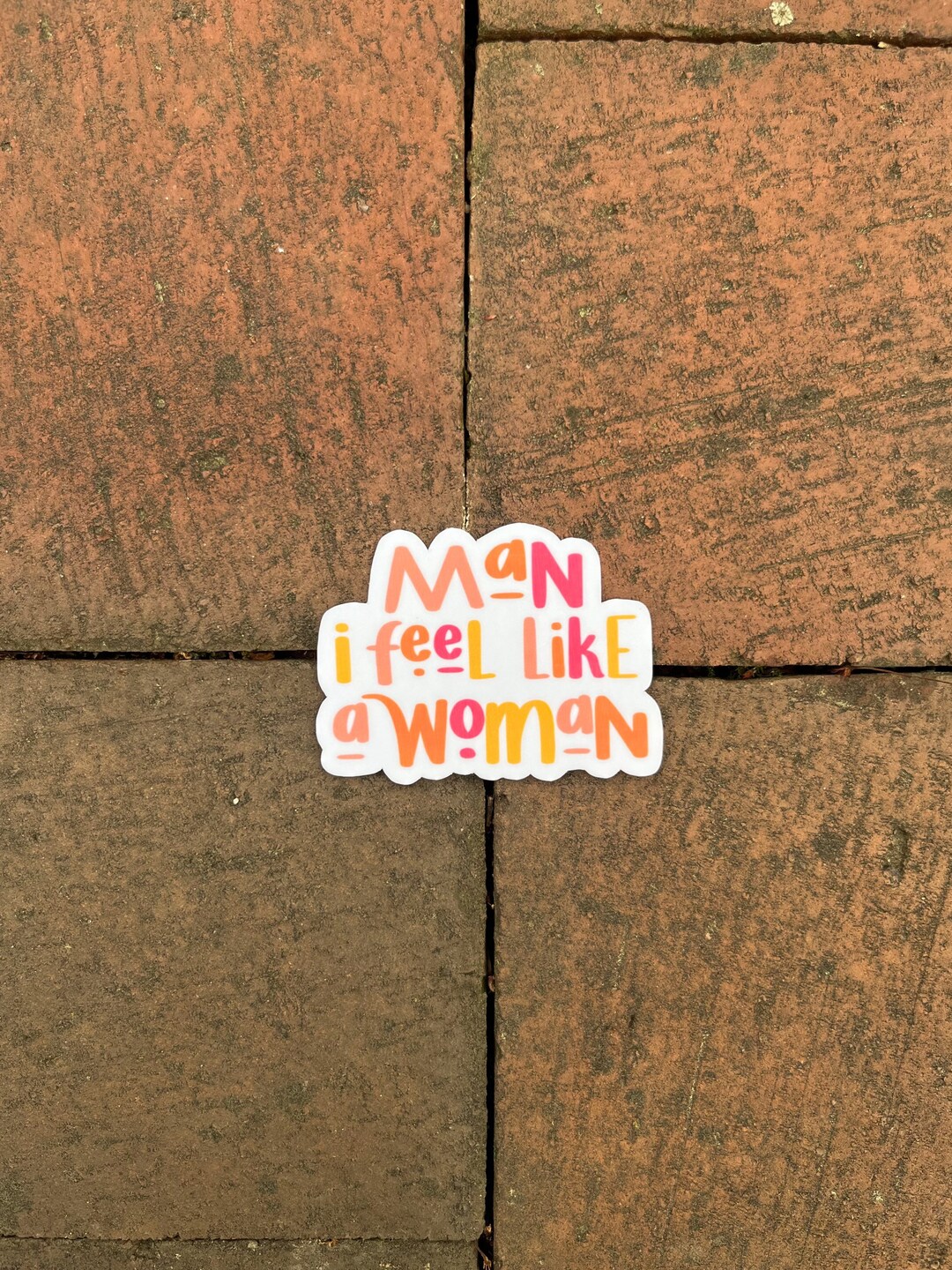 Shania Twain Sticker/ Feminist/ Feminism/ Vinyl/ Weatherproof - Etsy