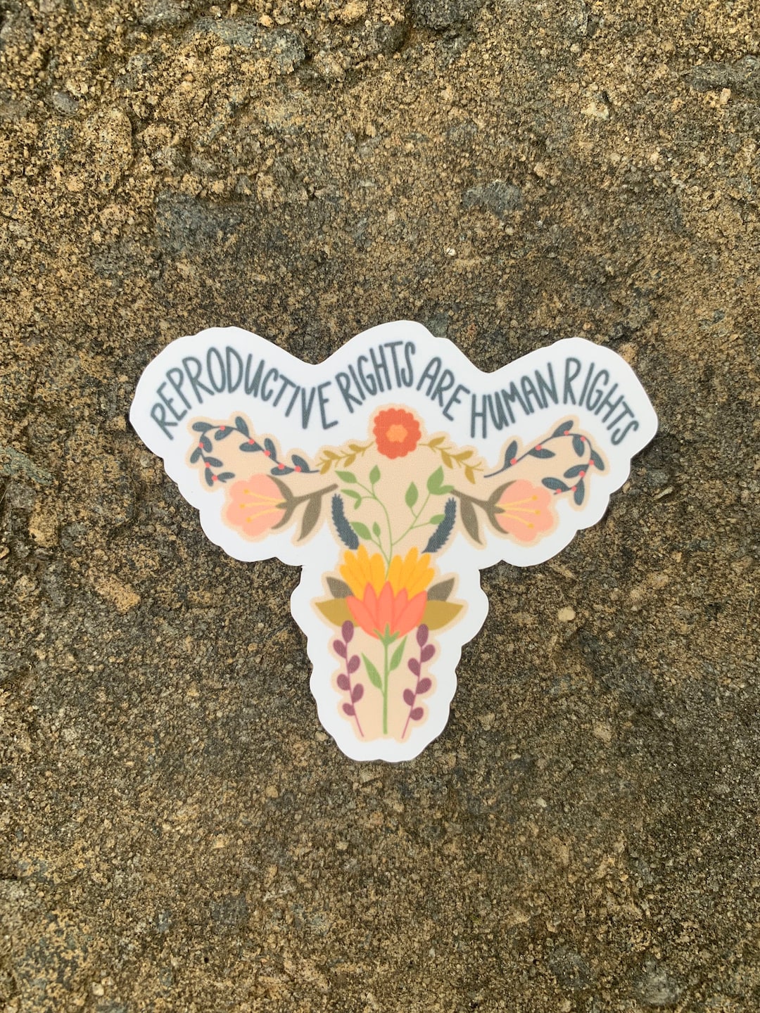 Reproductive Rights Sticker/ Iconic/ Vinyl/ Weatherproof - Etsy