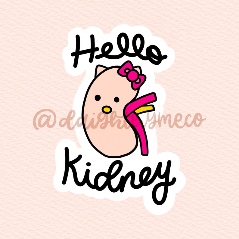 Hello Kidney Sticker/ CKD/ ESRD/ Vinyl/ Weatherproof - Etsy