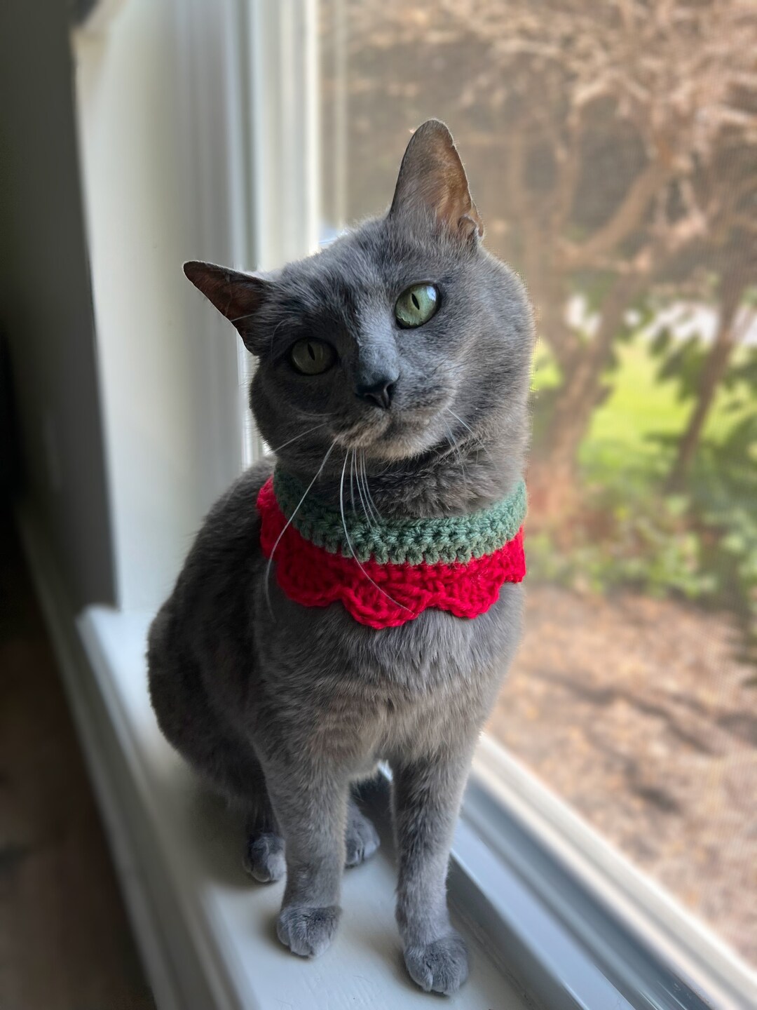 Crochet Strawberry Cat Collar - Etsy